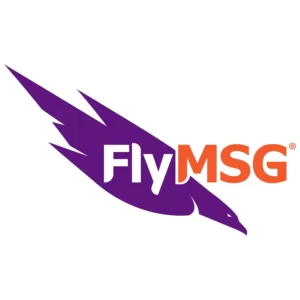 FlyMSG Review: Text Expansion Tool For Enhanced Productivity